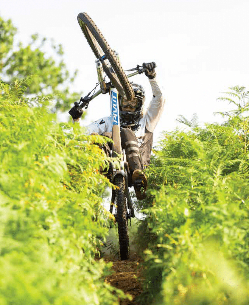 Bernard Kerr - Pivot Cycles