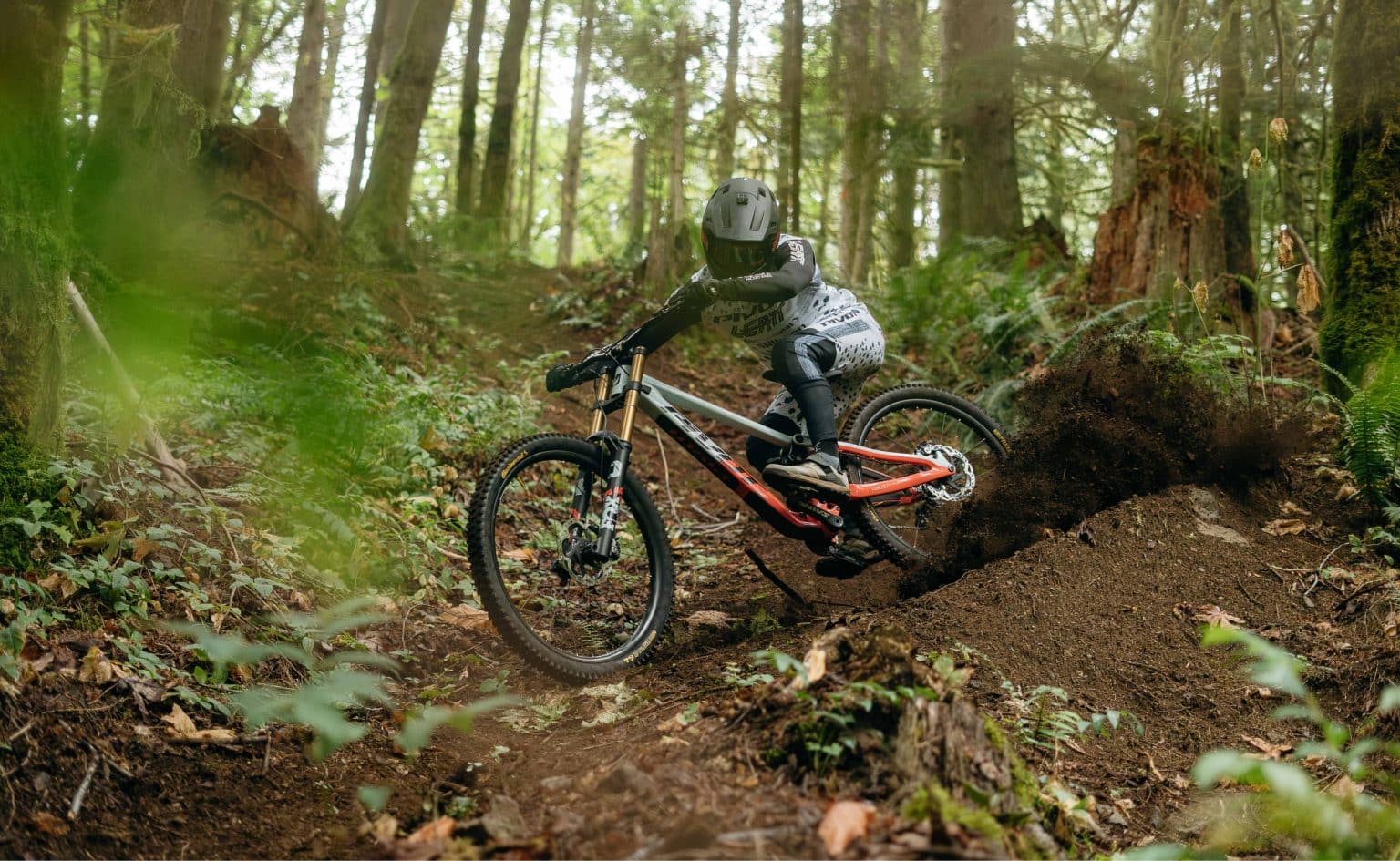 The New Phoenix - Pivot Cycles