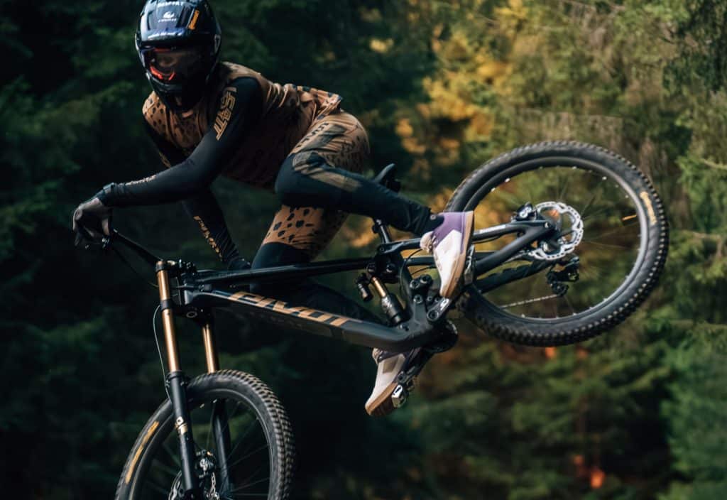 The New Phoenix - Pivot Cycles